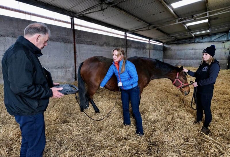 Equine Veterinary Services Ireland - SES Equine